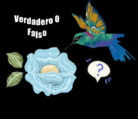 Verdadero O Falso GIFs - Get the best GIF on GIPHY