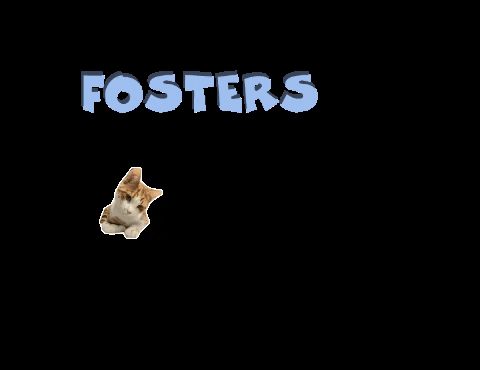 Foster-save GIFs - Get the best GIF on GIPHY