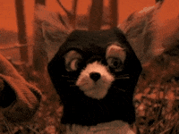 Fantastic Mr. Fox GIFs - Find & Share on GIPHY