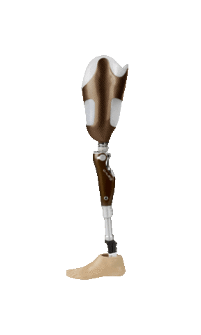 CIDOP ortopedia GIFs - Find & Share on GIPHY