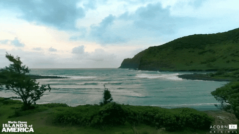 Hawaiian Island GIFs - Get the best GIF on GIPHY