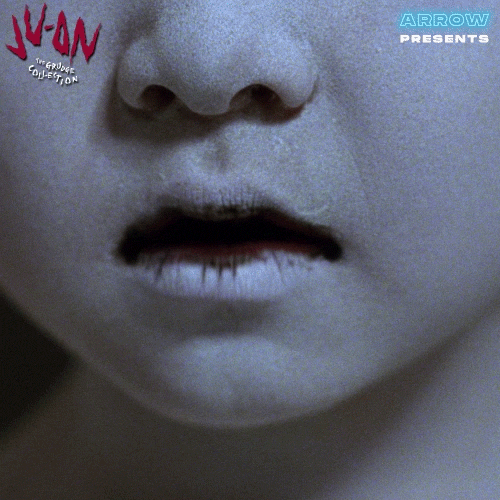 The Grudge Horror GIF by Arrow Video - Find & Share on GIPHY
