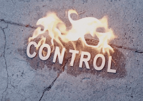 Control-de-calidad GIFs - Get the best GIF on GIPHY