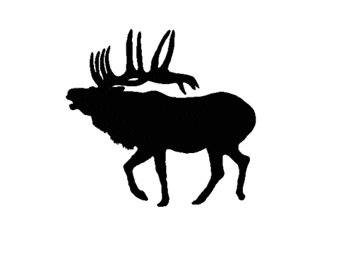 Elk GIFs - Get the best GIF on GIPHY