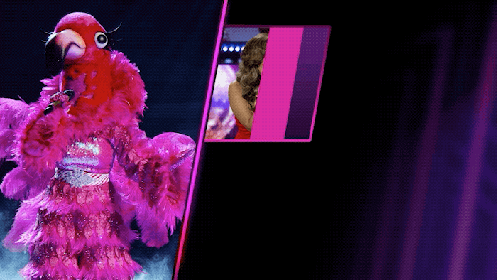 Fox GIF by The Masked Singer - Find & Share on GIPHY