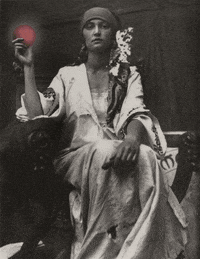 Gif De Mucha Información Caja Torácica Humana Wikipedia, La