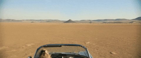 Don't Worry Darling GIFs on GIPHY - Be Animated