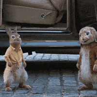 Monty Python Rabbit Gif