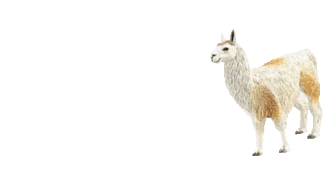 Dancing Llama Gif