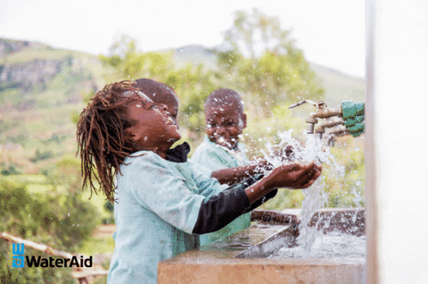 WaterAid GIFs on GIPHY - Be Animated