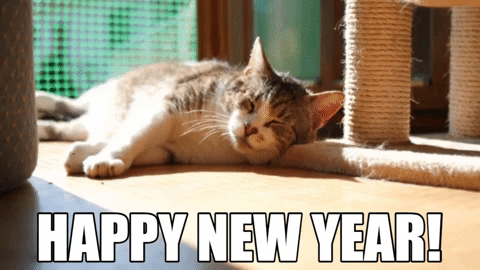 New Year Nye GIF by Squirrel Monkey - Find & Share on GIPHY