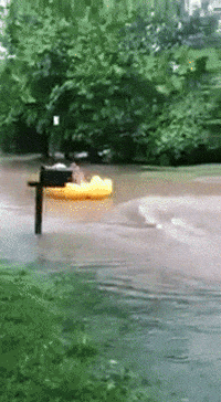 Flood GIFs - Get the best GIF on GIPHY