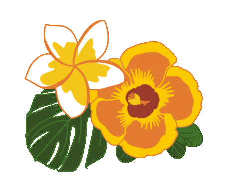 Flowers Hibiscus Sticker for iOS & Android | GIPHY