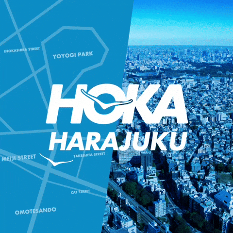 HOKA GIFs on GIPHY - Be Animated