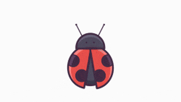 Small Flat GIFs - Get the best GIF on GIPHY