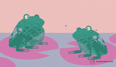 Animation Frog GIF by The Explainer Studio - Find & Share on GIPHY