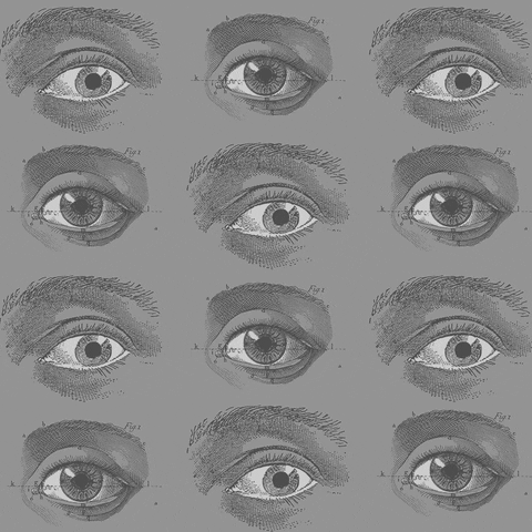 Designing Eye GIFs - Get the best GIF on GIPHY