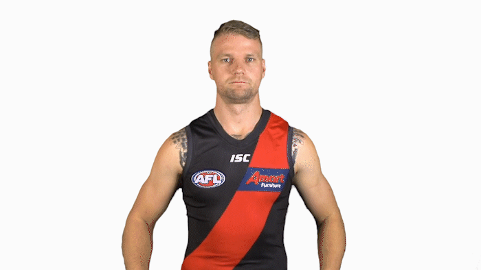 Essendon FC GIF - Find & Share on GIPHY