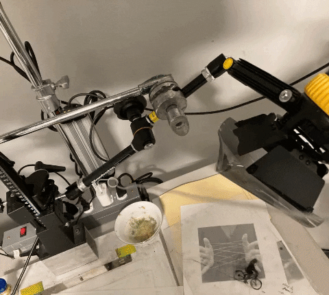 Software-tutorials GIFs - Get the best GIF on GIPHY