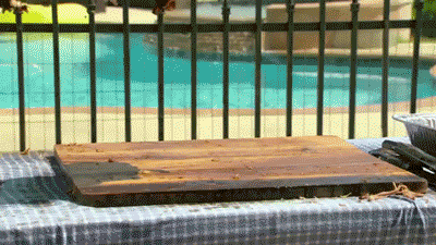 Summer Cookout GIFs - Get the best GIF on GIPHY