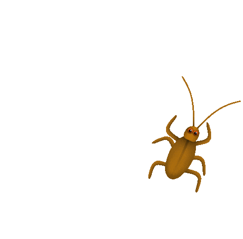 Moving Cockroach Gif
