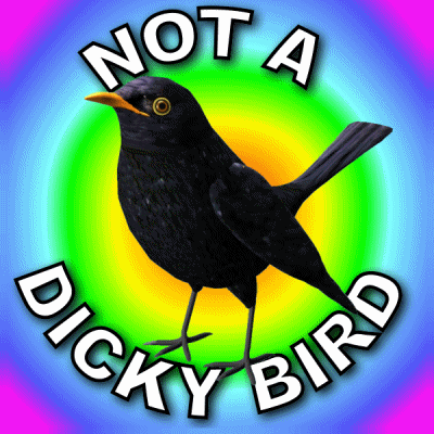 Dicky Bird GIFs - Get the best GIF on GIPHY