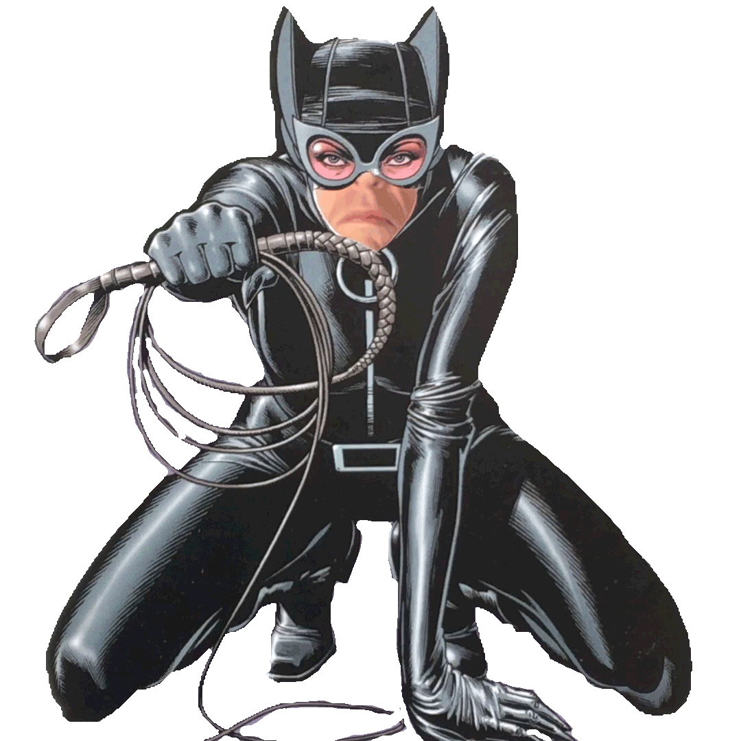 Dc Comics Cat Sticker by Joseph Fontinha for iOS & Android | GIPHY