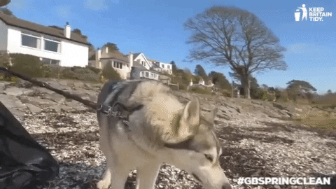 Litter Pollution GIFs - Get the best GIF on GIPHY