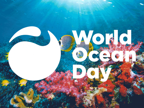 Fish Coral GIF by World Ocean Day - Find & Share on GIPHY