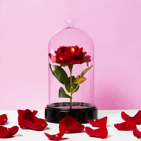 Rose-jar GIFs - Get the best GIF on GIPHY
