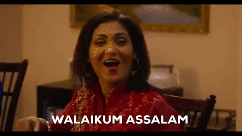India GIF by Welcome To Surrey - Find & Share on GIPHY