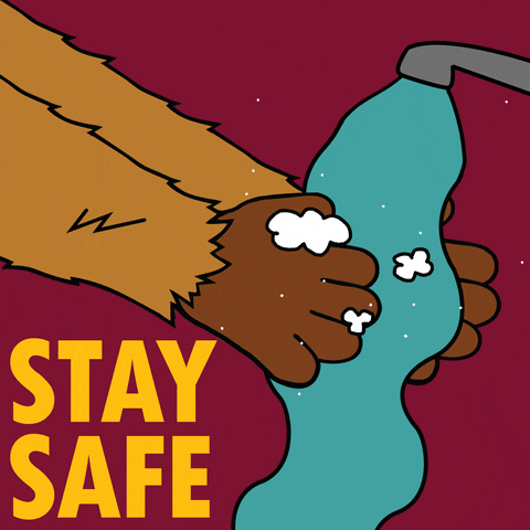 Teddy Stay Safe GIF by CSUDHTeddyToro - Find & Share on GIPHY