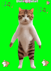 Gif Despertando Feliz