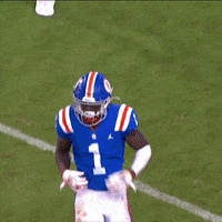 Happy Gators Football GIF by Florida Gators - Find & Share on GIPHY
