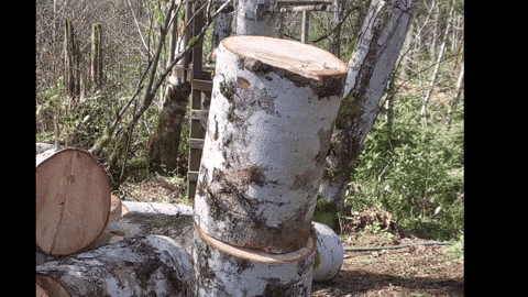 Splitting Wood GIFs - Get the best GIF on GIPHY