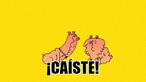 Caiste GIFs - Get the best GIF on GIPHY
