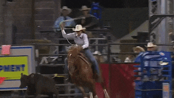 Girl Power Rodeo GIF by Professional Bull Riders (PBR) - Find & Share ...