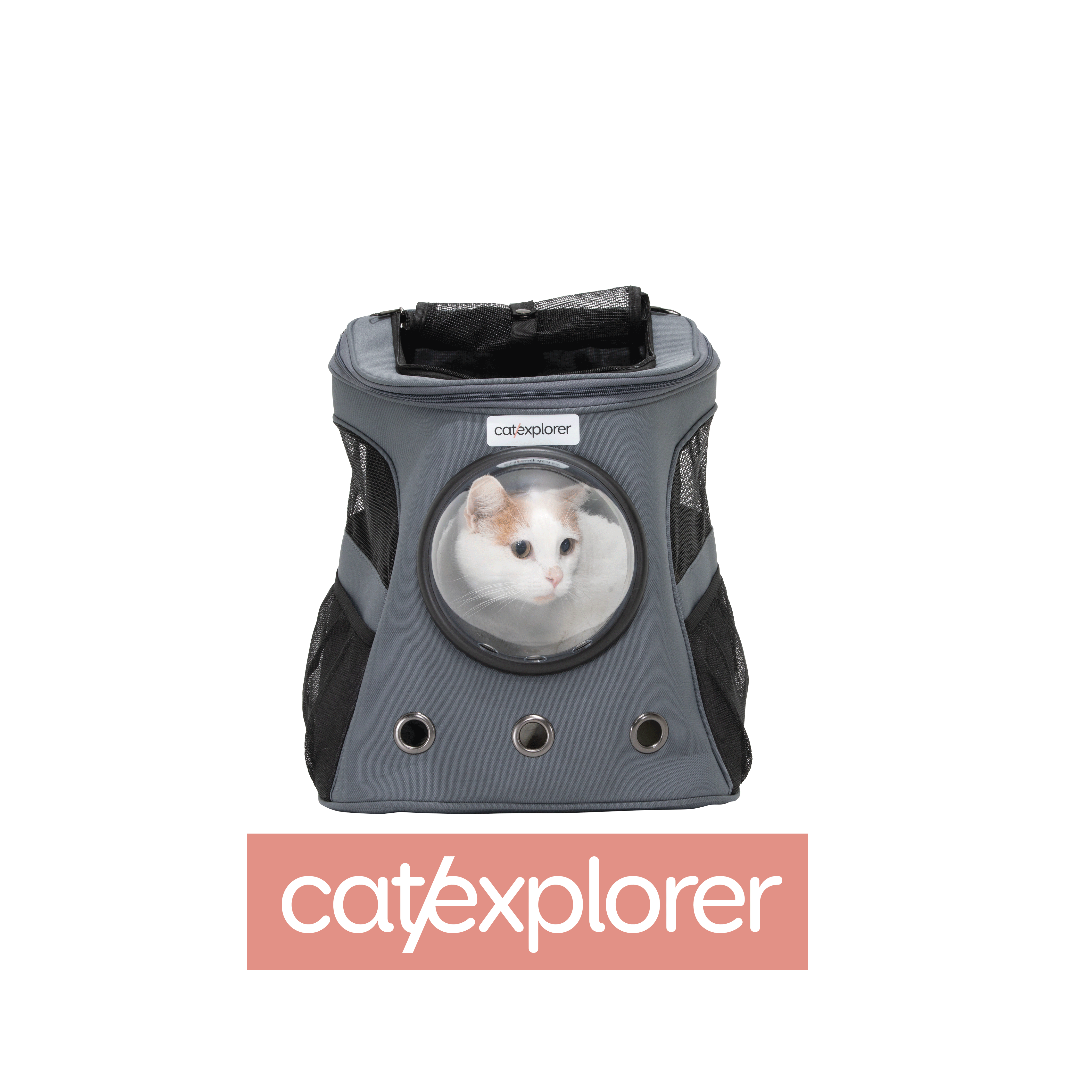 Cat Apollo Sticker by Catexplorer for iOS & Android | GIPHY