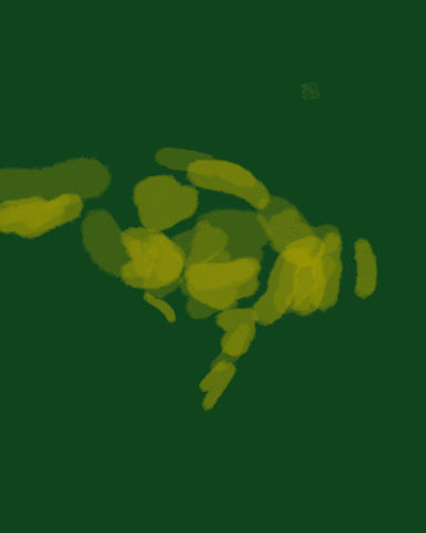 Poopdance GIFs - Get the best GIF on GIPHY