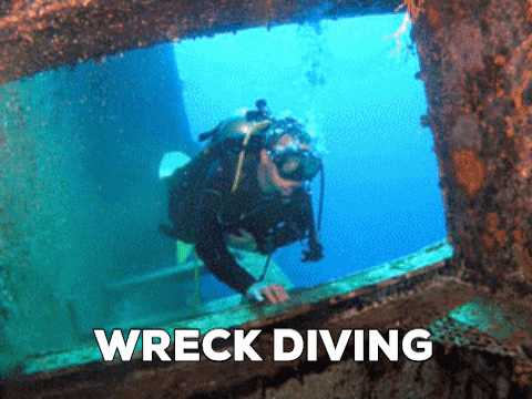 Wreck-diving GIFs - Get the best GIF on GIPHY