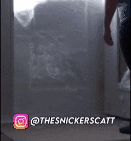 Thesnickerscatt GIFs - Find & Share on GIPHY