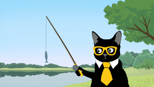 Cat Fishing Gif