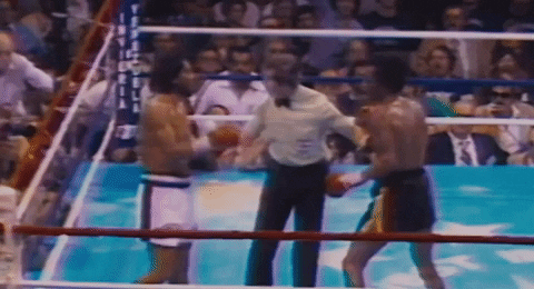 Boxing Match GIFs - Find & Share on GIPHY