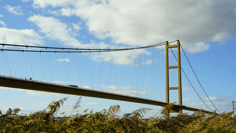 Kingston Upon Hull Uk GIF by 43 Clicks North - Find & Share on GIPHY