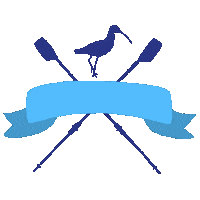 Curlew GIFs on GIPHY - Be Animated