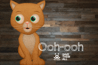 Oooh Cat Gif