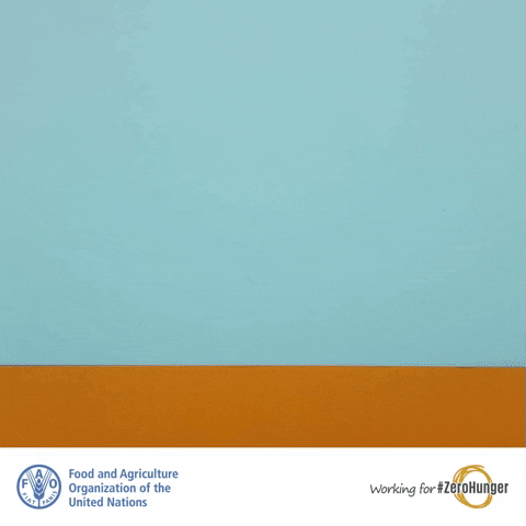 Soil Erosion GIFs - Get the best GIF on GIPHY