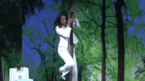 Climb Tree GIFs - Get the best GIF on GIPHY