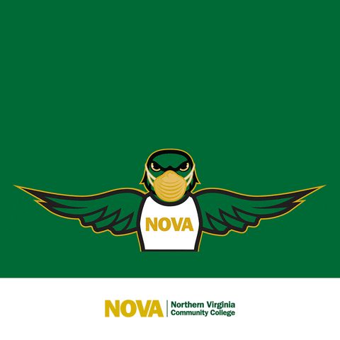 Northern-virginia GIFs - Get the best GIF on GIPHY