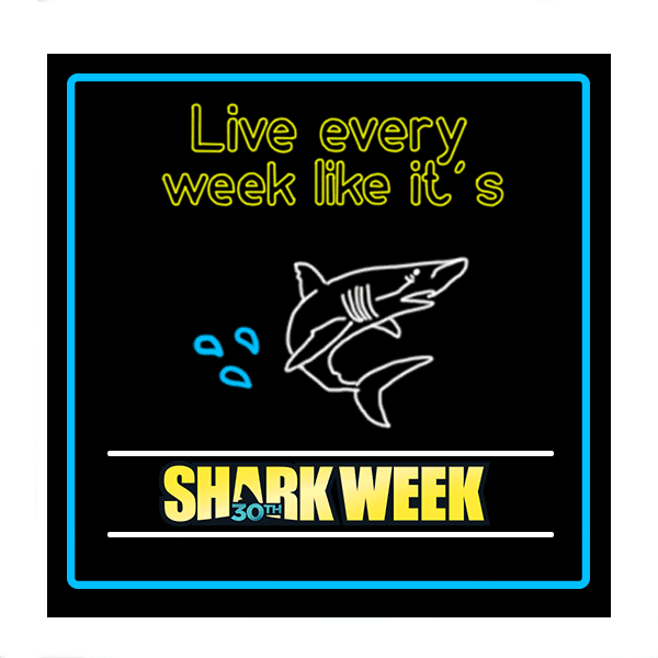 Live Every Week Like Its Shark Week Gif